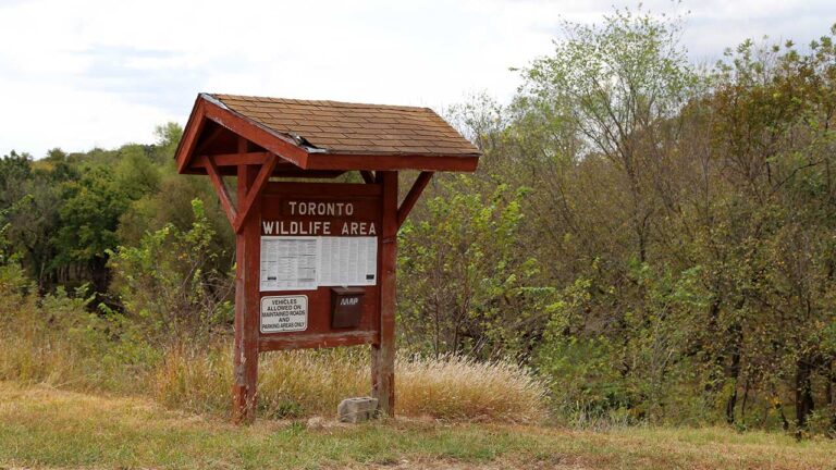 Cross Timbers Wildlife Area - Snag Hollow Vacation Rentals